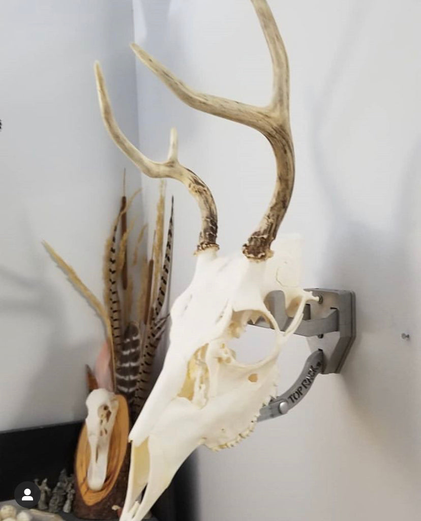 Top Rack – Top Rack